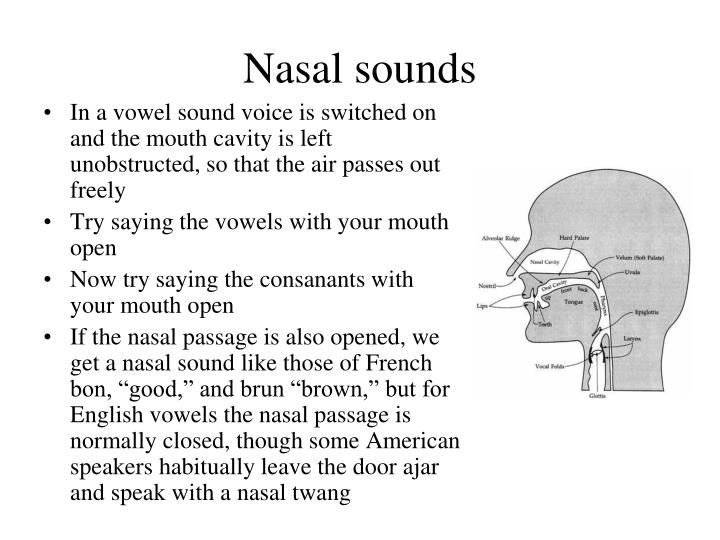 PPT - The history of the English language PowerPoint Presentation - ID ...