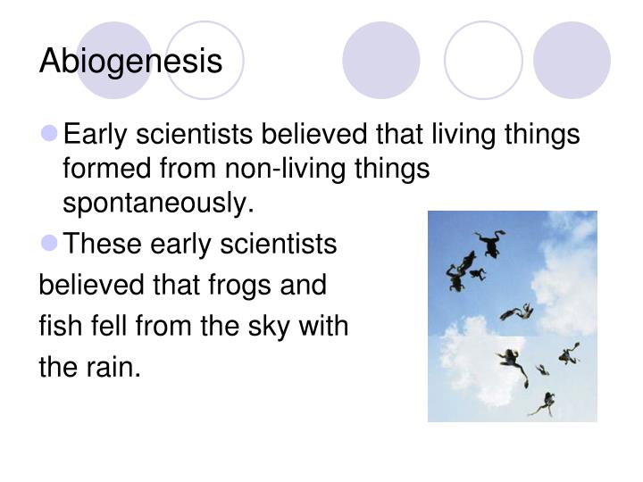 PPT - Spontaneous Generation PowerPoint Presentation - ID:5564625