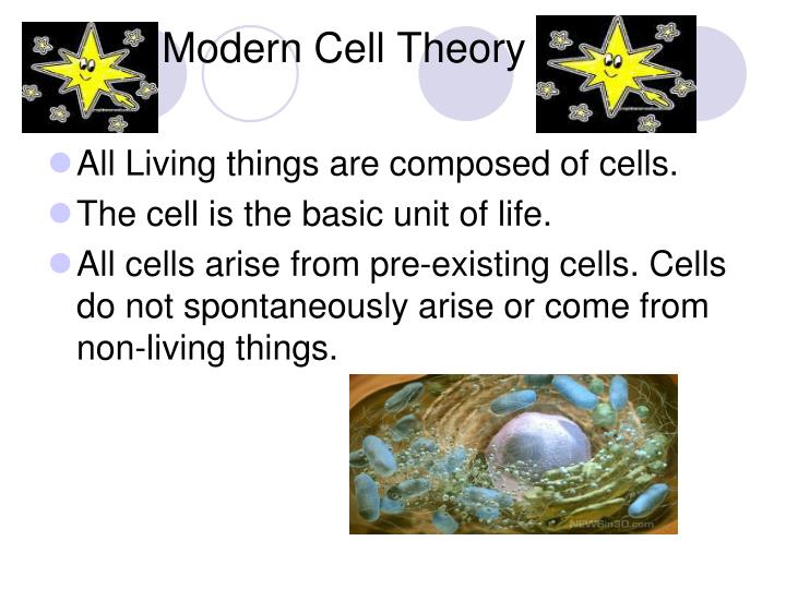 PPT - Spontaneous Generation PowerPoint Presentation - ID:5564625