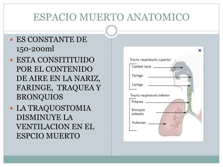 PPT - FUNCION RESPIRATORIA PowerPoint Presentation - ID:5566030