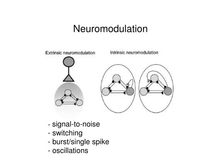 PPT - Neuromodulation PowerPoint Presentation, free download - ID:5569171