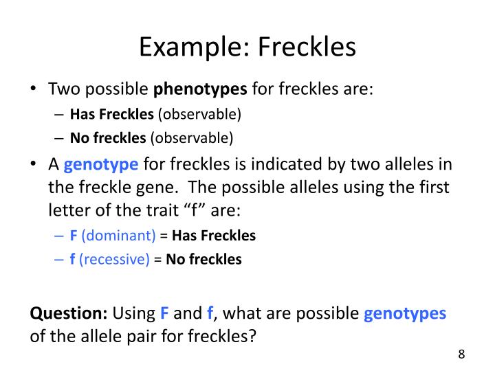 PPT - Genetics in Harry Potter ’s World Lesson 1 PowerPoint ...