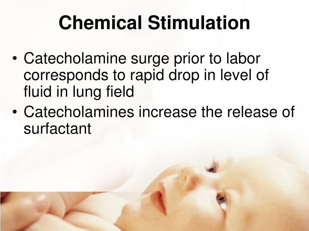 Ppt Newborn Transition Assessment Powerpoint Presentation Free