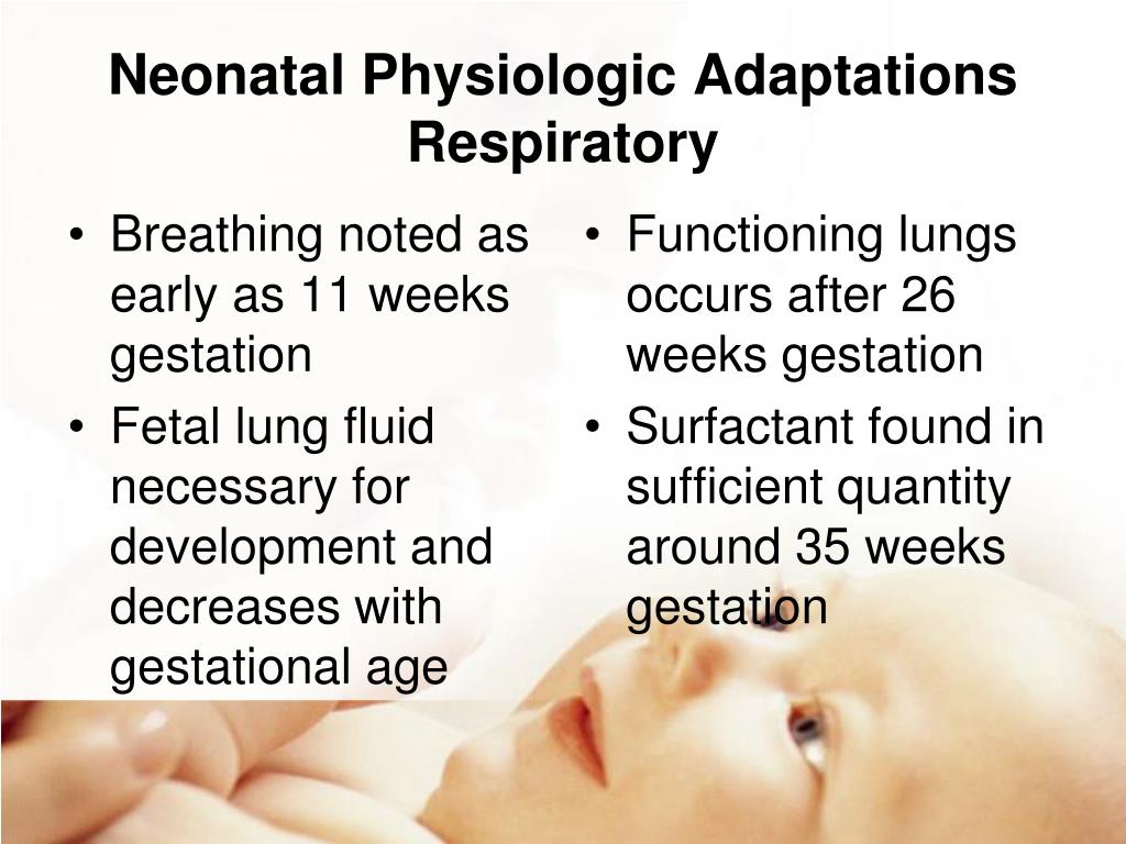 Ppt Newborn Transition Assessment Powerpoint Presentation Free