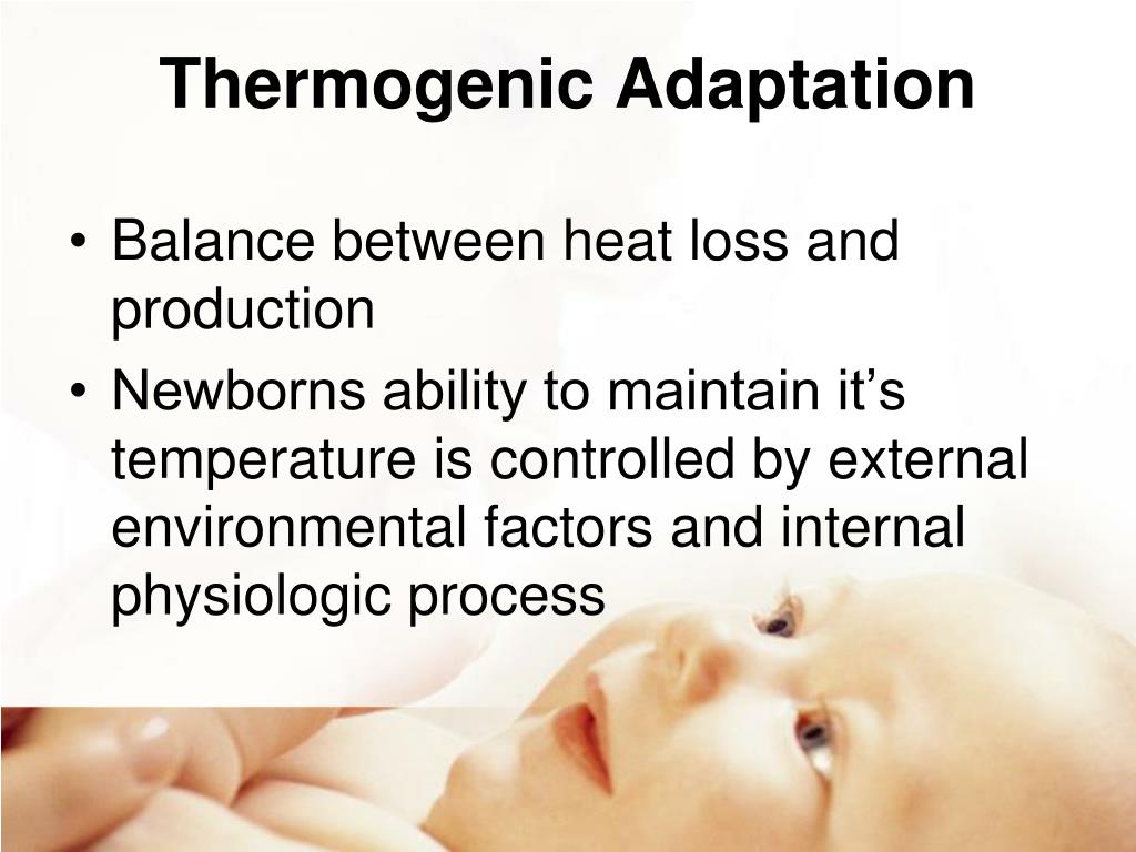 Ppt Newborn Transition Assessment Powerpoint Presentation Free