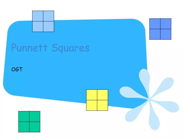 PPT - Punnett Squares PowerPoint Presentation, free download - ID:5570059