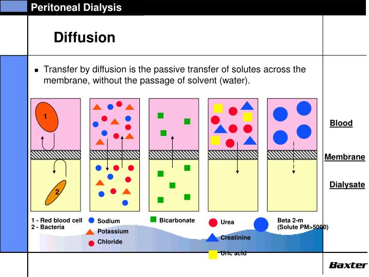 PPT - Principles of Peritoneal Dialysis PowerPoint Presentation - ID ...
