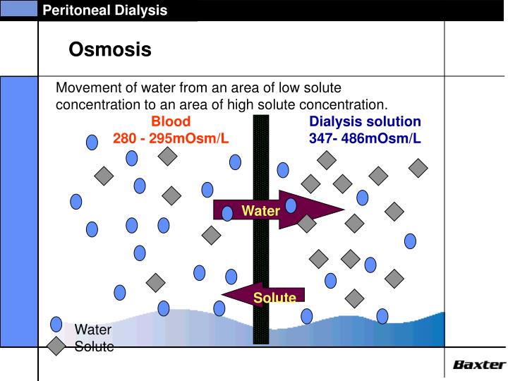 PPT - Principles of Peritoneal Dialysis PowerPoint Presentation - ID ...