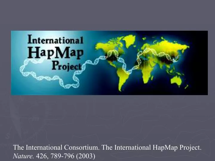 PPT - The International Consortium. The International HapMap Project. Nature. 426, 789-796 (2003 ...