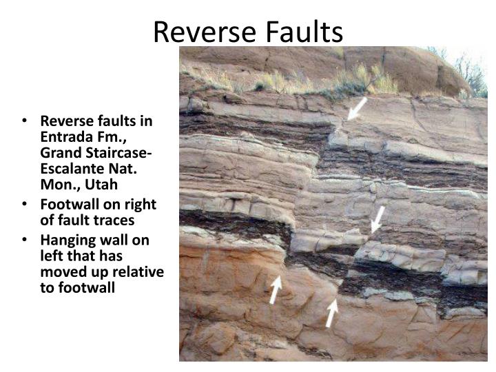 PPT - Structural Geology Stress and Strain PowerPoint Presentation - ID ...