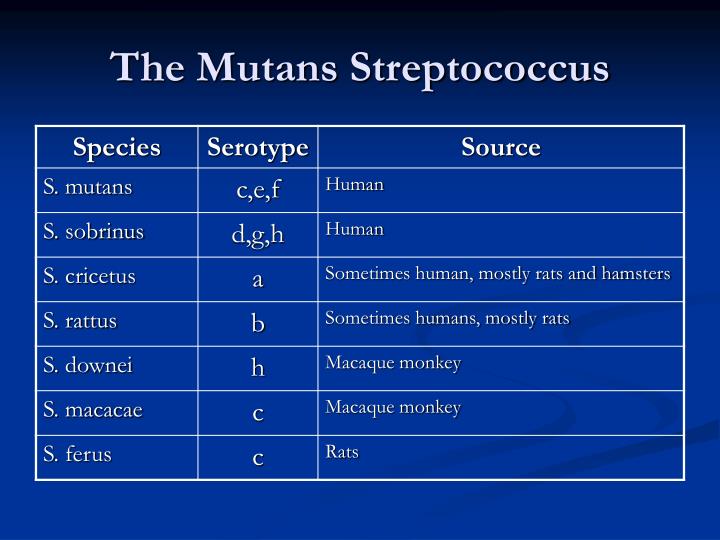 PPT - The Microbiology of Dental Caries PowerPoint Presentation - ID ...