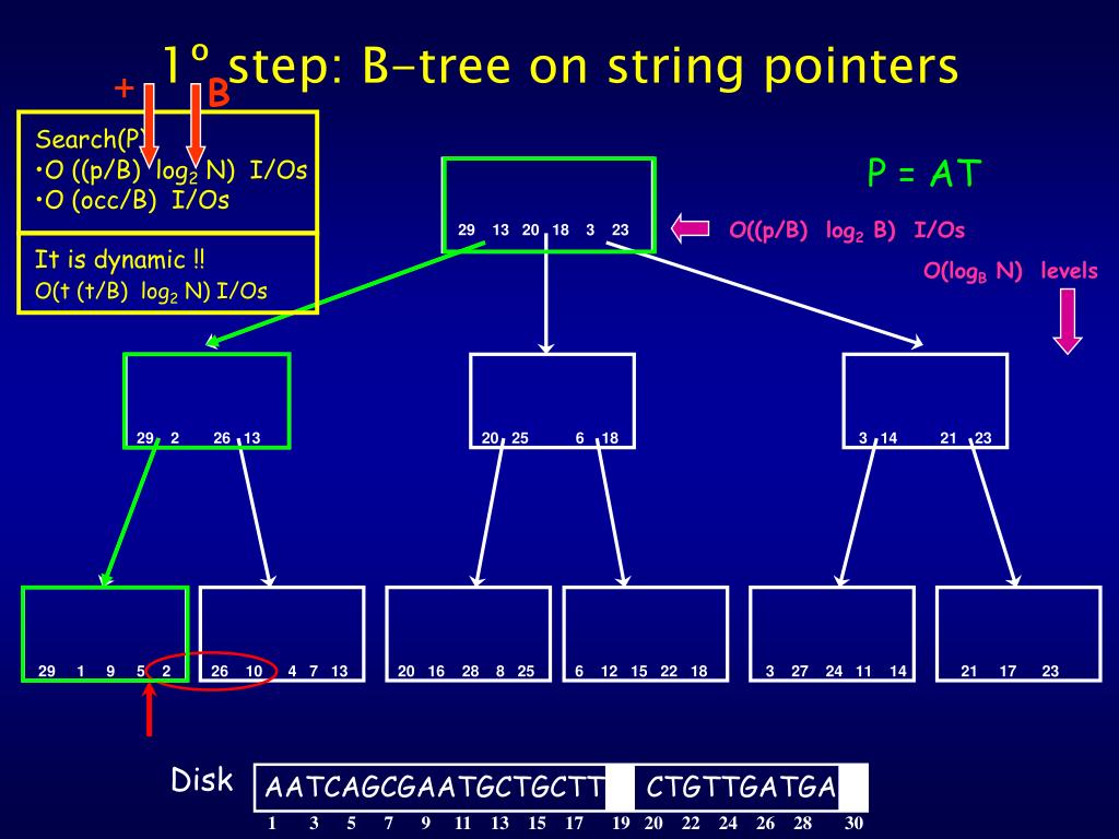 Ppt String Algorithms And Data Structures Or Tips And Tricks For Index Design Powerpoint