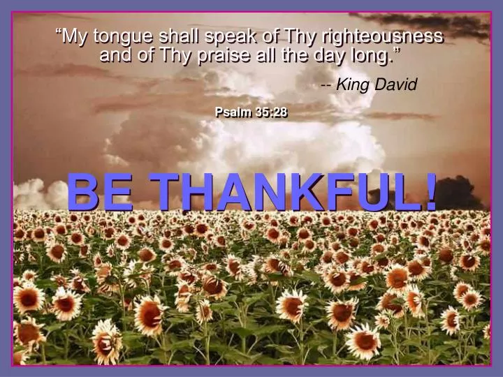 PPT - BE THANKFUL! PowerPoint Presentation, free download - ID:5572801