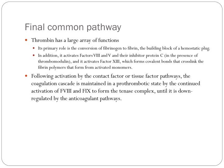 PPT - BLOOD【 血液 】 PowerPoint Presentation - ID:5573110