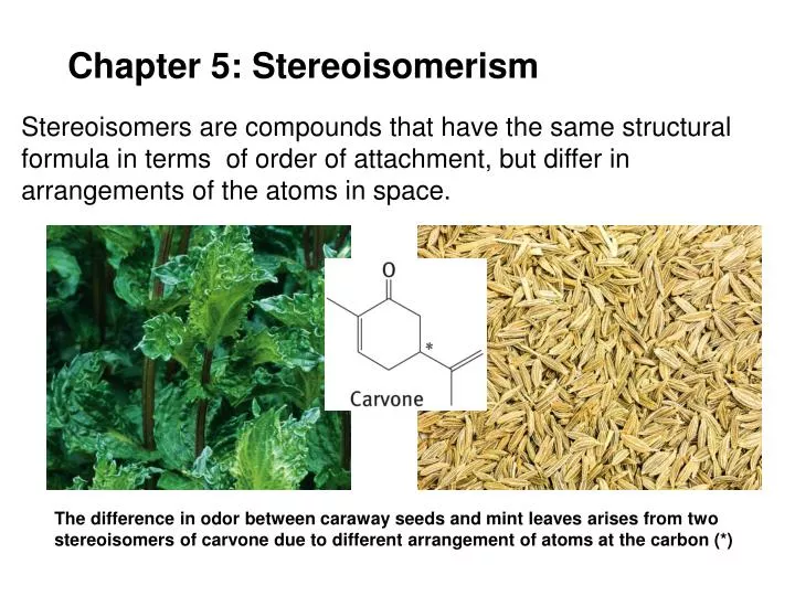 PPT - Chapter 5: Stereoisomerism PowerPoint Presentation, free download ...