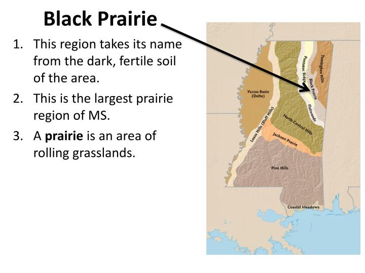 PPT - Katrina vs. Camille PowerPoint Presentation - ID:5576028