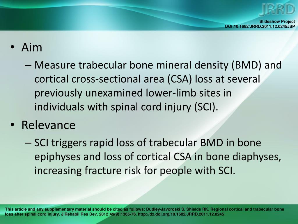 PPT - Regional cortical and trabecular bone loss after spinal cord ...