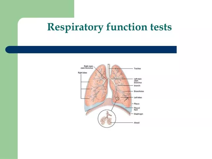 PPT - Respiratory function tests PowerPoint Presentation, free download ...