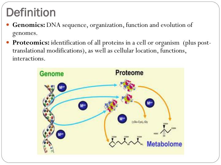 PPT - Genomics, Proteomics and Transgenics PowerPoint Presentation - ID ...