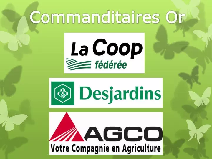 PPT - Commanditaires Or PowerPoint Presentation, free download - ID:5578503