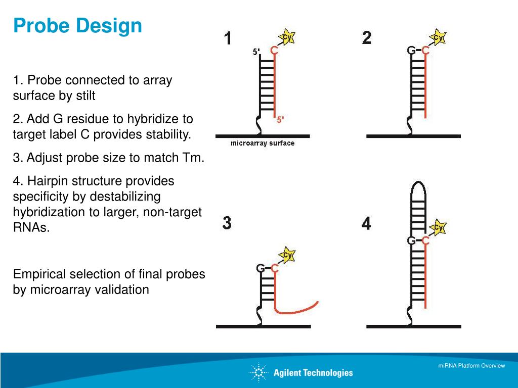 PPT - The Agilent miRNA Microarray System PowerPoint Presentation, free ... PPT - The Agilent miRNA Microarray System PowerPoint Presentation, free ...