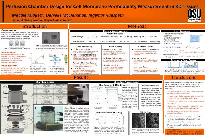 PPT - Perfusion Chamber Design for Cell Membrane Permeability ...