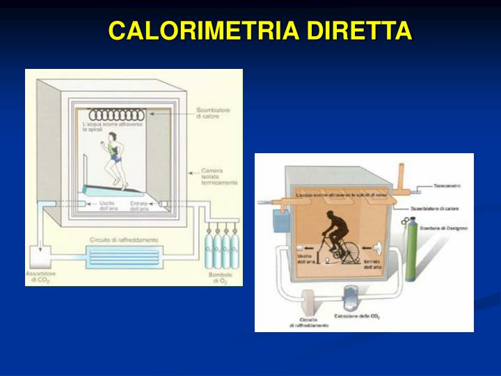 PPT - LA CALORIMETRIA INDIRETTA PowerPoint Presentation - ID:5579039