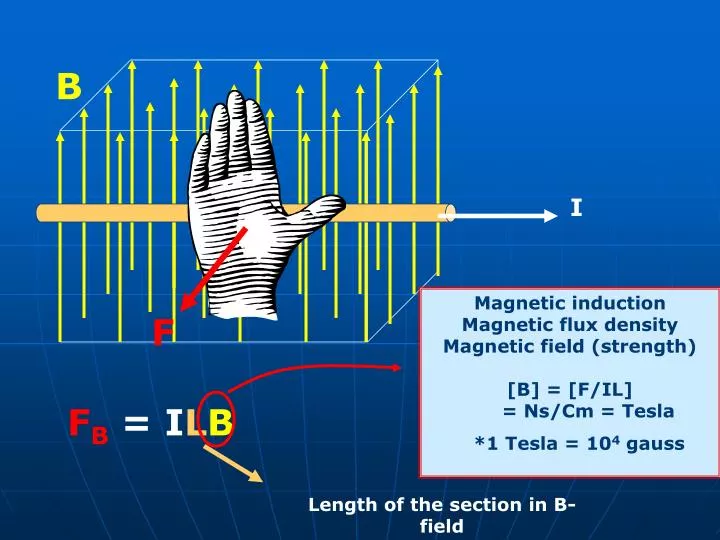 PPT - F B = I L B PowerPoint Presentation, free download - ID:5579263
