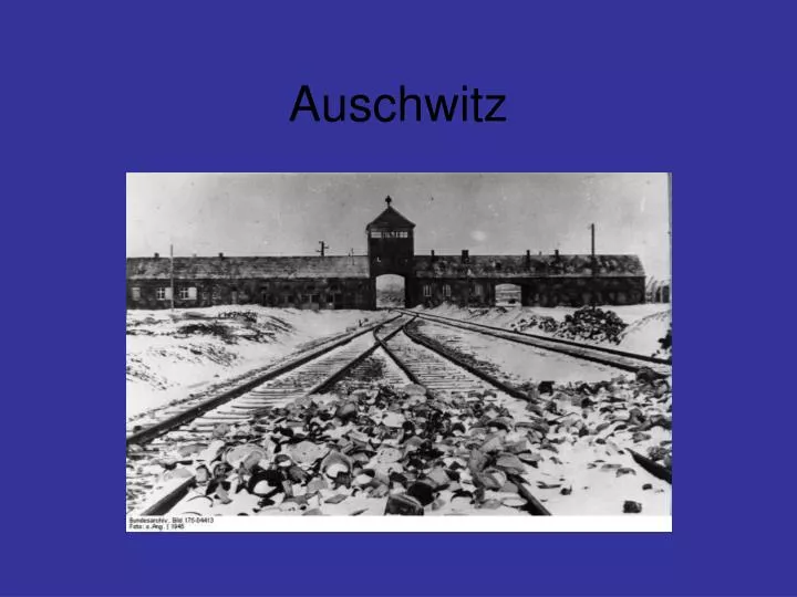 PPT - Auschwitz PowerPoint Presentation, free download - ID:5579295
