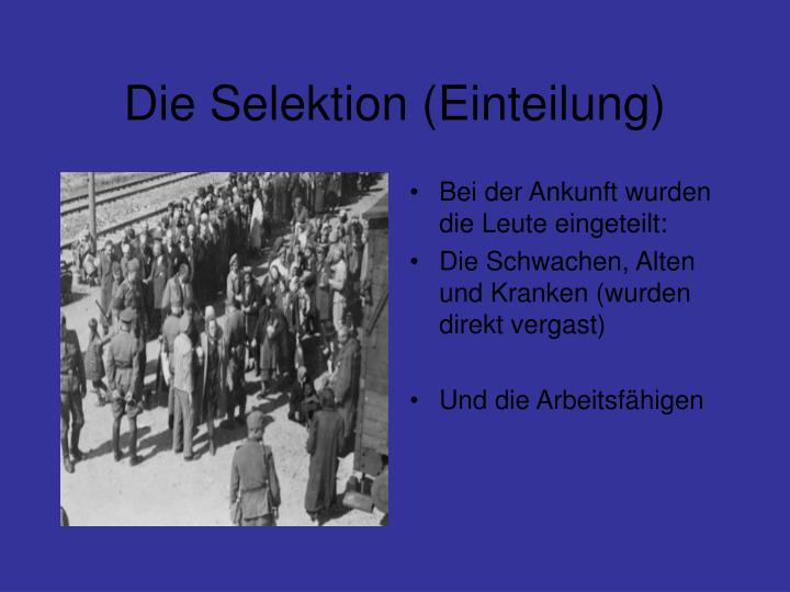 PPT - Auschwitz PowerPoint Presentation - ID:5579295