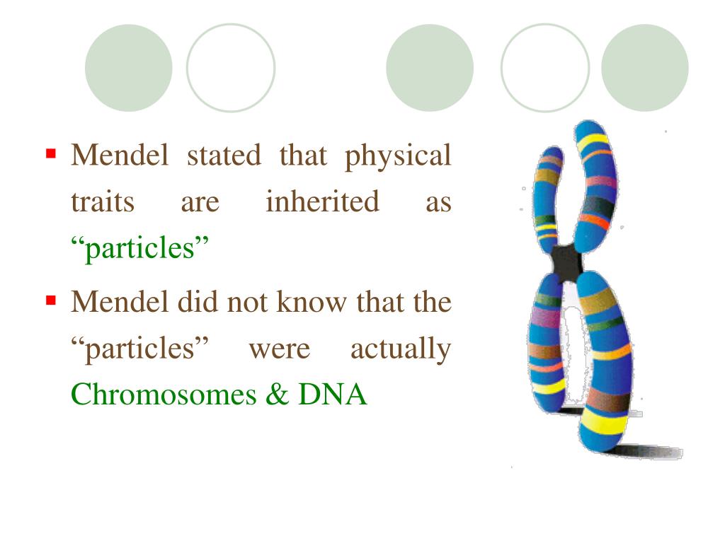 Ppt Lesson Four Powerpoint Presentation Free Download Id 5579356