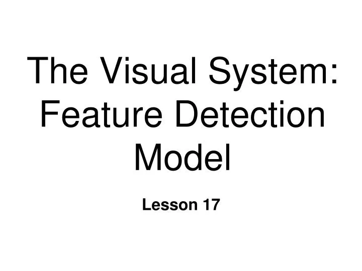 Ppt The Visual System Feature Detection Model Powerpoint