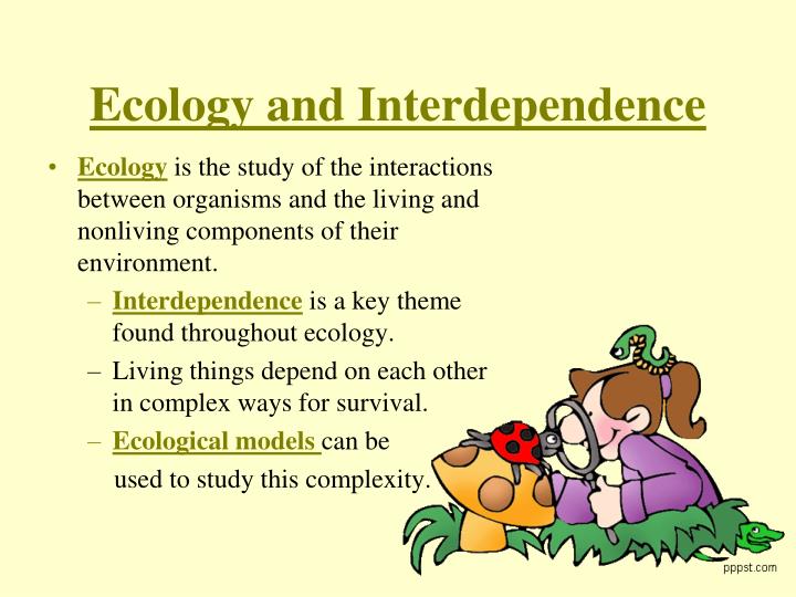 PPT - Chapter 18: Introduction to Ecology PowerPoint Presentation - ID ...