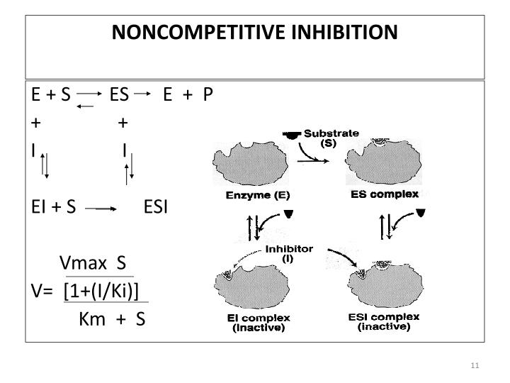 PPT - Lecture 7-Enzyme Inhibition-Drug Discovery PowerPoint ...