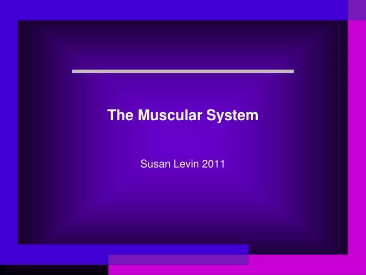PPT - The Muscular System PowerPoint Presentation, free download - ID ...
