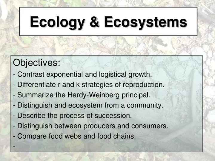 PPT - Ecology & Ecosystems PowerPoint Presentation, free download - ID ...