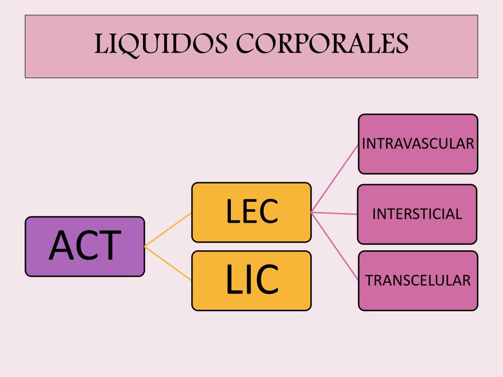 PPT - LIQUIDOS corporales en pediatria PowerPoint Presentation, free ...