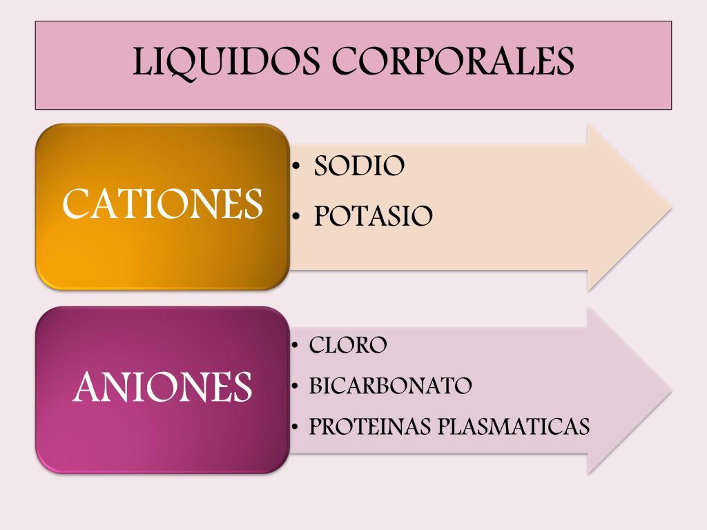 PPT - LIQUIDOS corporales en pediatria PowerPoint Presentation, free ...