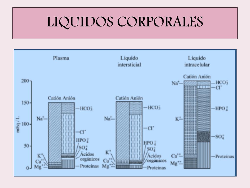PPT - LIQUIDOS corporales en pediatria PowerPoint Presentation, free ...