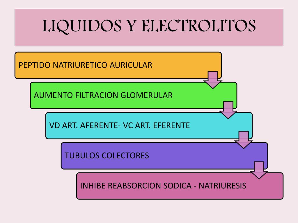 PPT - LIQUIDOS corporales en pediatria PowerPoint Presentation, free ...
