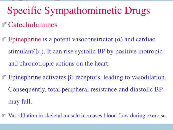 PPT - Chapter 10 Adrenoceptor-Activating ＆ Other Sympathomimetic ...