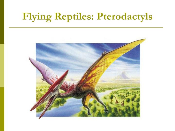 Flying Pterodactyls Cretaceous Period