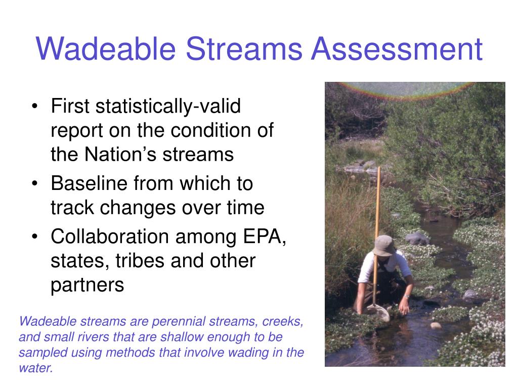PPT - Overview of National Aquatic Resource Surveys for Wadeable ...