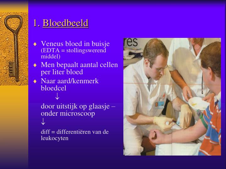 PPT - Bloed. PowerPoint Presentation - ID:5587757