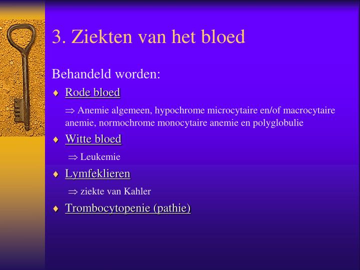 PPT - Bloed. PowerPoint Presentation - ID:5587757