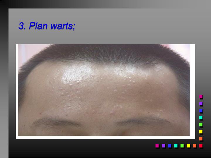 PPT - Viral Skin Diseases PowerPoint Presentation - ID:5588920