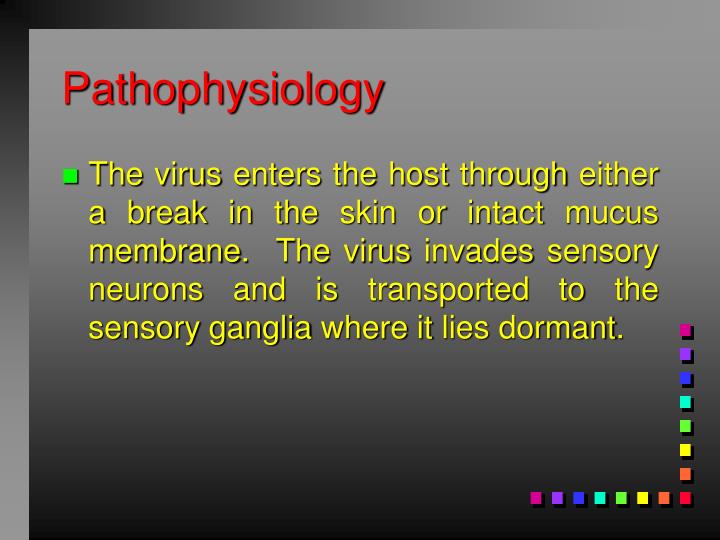 PPT - Viral Skin Diseases PowerPoint Presentation - ID:5588920