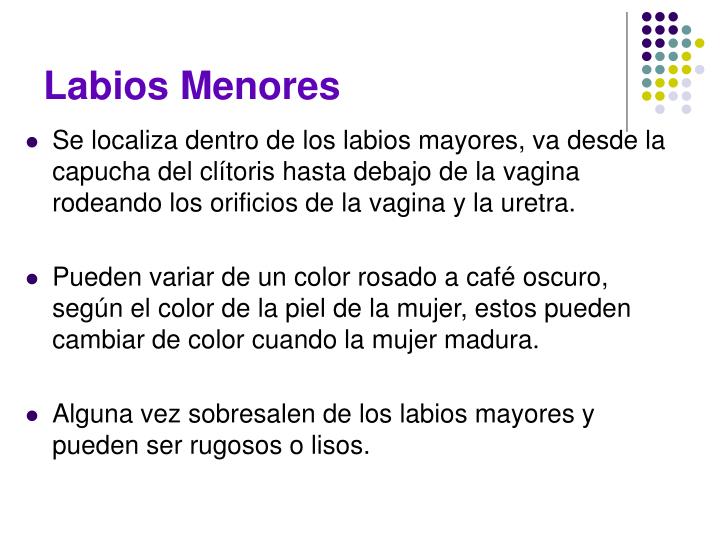 PPT - Sistema Reproductor Femenino PowerPoint Presentation - ID:5589866