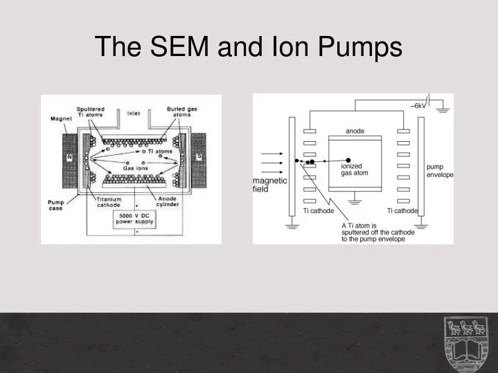 PPT - The SEM and Ion Pumps PowerPoint Presentation, free download - ID ...