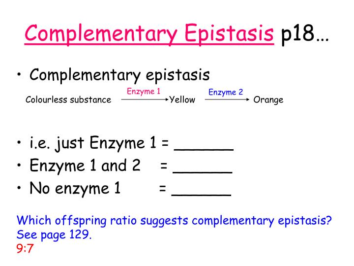 PPT - Autosomal linkage – 2 genes on the same chromosome PowerPoint ...